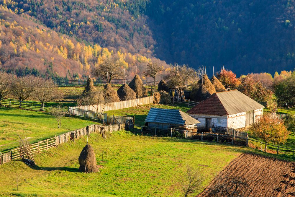 Καίριας σημασίας ο αγροτικός ιστός, xαμηλή η στήριξη στους αγρότες