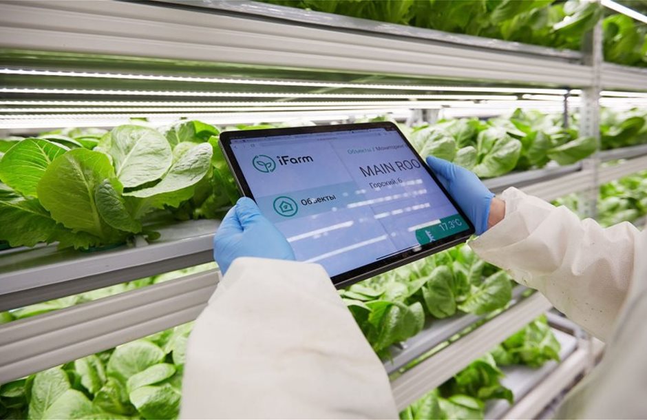 Κάθετη καλλιέργεια σε κενές αποθήκες, μέσω εφαρμογής το όραμα της iFarm