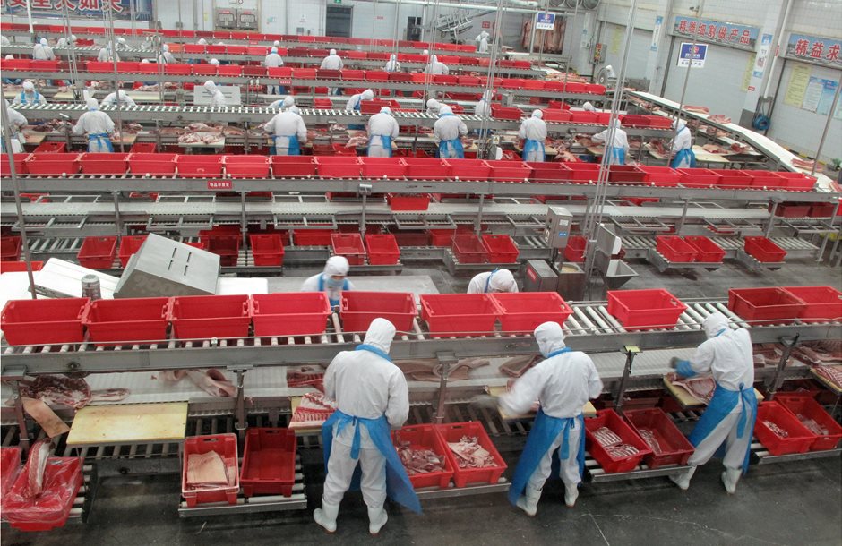 Η πιο μεγάλη χοιροτροφική μονάδα στον κόσμο που γράφει κέρδη άνω του 1.413%