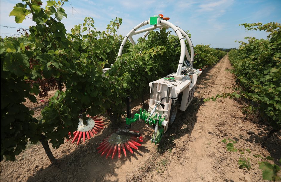 Έτοιμο για μαζική παραγωγή το νέο αμπελουργικό «Ted» της Naio Technologies